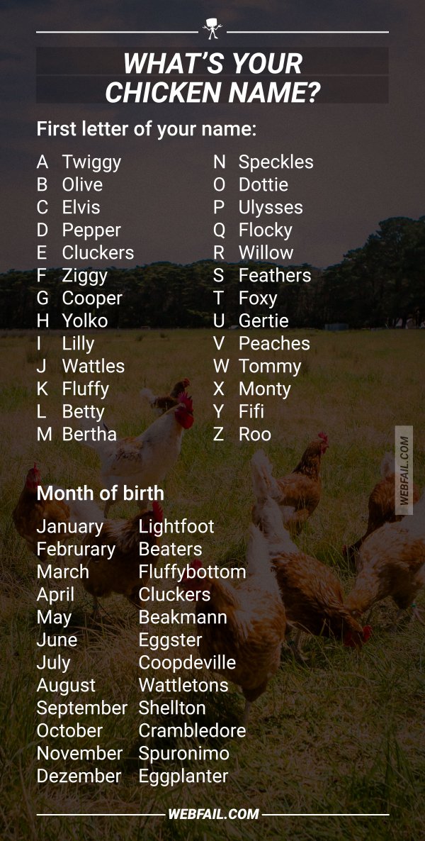 What s Your Chicken Name Webfail Fail Pictures And Fail Videos What s Your Chicken Name Webfail Fail Pictures And Fail Videos