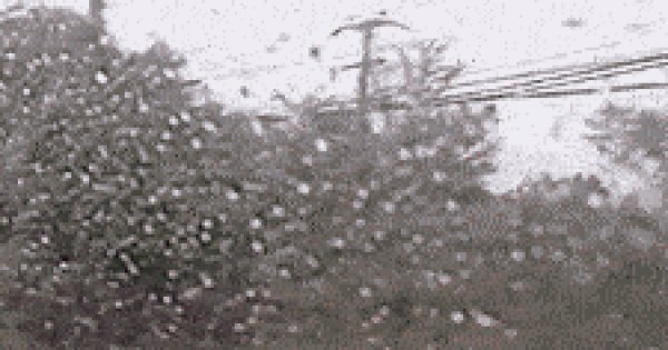 Manueller Scheibenwischer | Webfail - Fail Bilder und Fail Videos