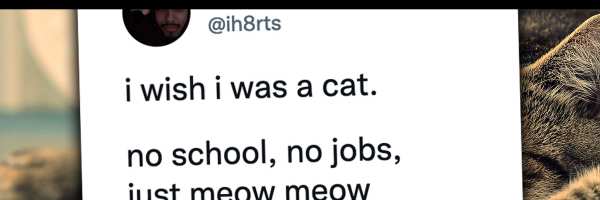 Dual monitors - Meme Picture | Webfail - Fail Pictures and Fail Videos