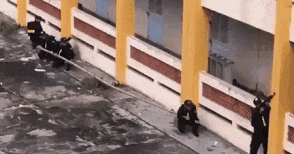 Wer braucht schon ne Leiter? | Webfail - Fail Bilder und Fail Videos