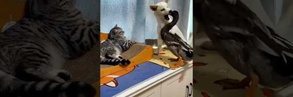 Dual monitors - Meme Picture | Webfail - Fail Pictures and Fail Videos