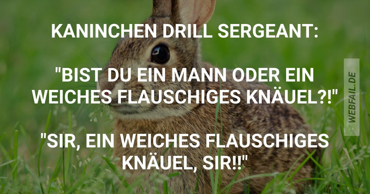 So flauschig! | Webfail - Fail Bilder und Fail Videos