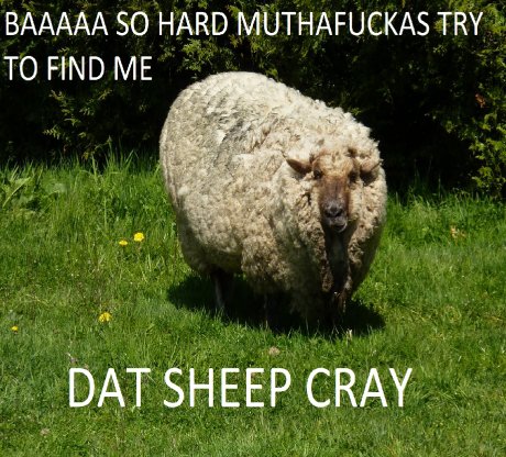 Baaaa - Meme Picture | Webfail - Fail Pictures and Fail Videos