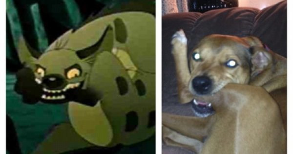Eddie from The Lion King - WinFail Picture | Webfail - Fail Pictures ...