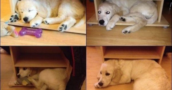 Growing up sucks - WinFail Picture | Webfail - Fail Pictures and Fail ...