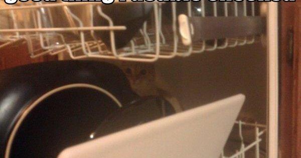 Good thing I double checked - Fail Picture | Webfail - Fail Pictures ...