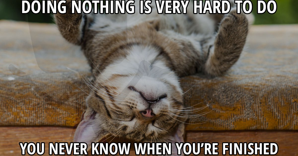 Doing nothing - Meme Picture | Webfail - Fail Pictures and Fail Videos