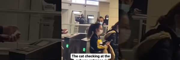 Neck exercises - Meme Picture | Webfail - Fail Pictures and Fail Videos