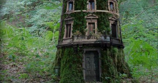 A special treehouse - Win Picture | Webfail - Fail Pictures and Fail Videos