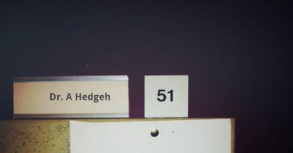 Poor Dr. A Hedgeh - Fun Picture | Webfail - Fail Pictures and Fail Videos