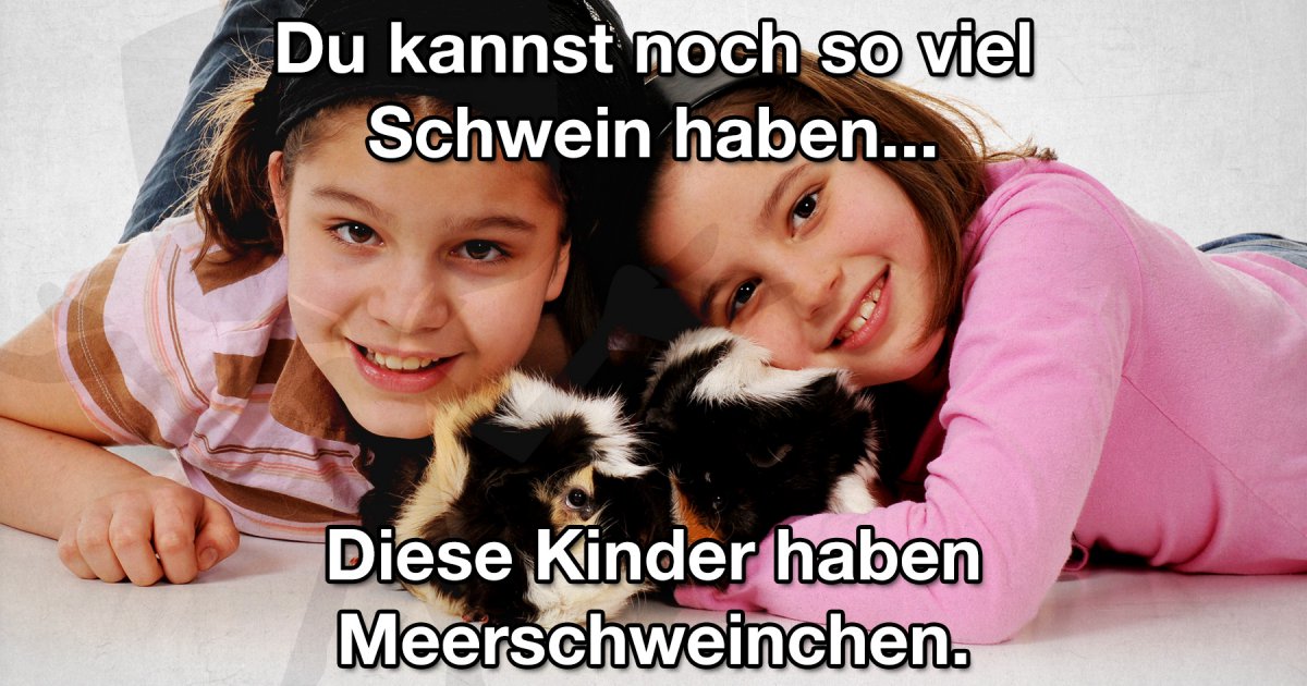 Keine Chance - Fun Bild | Webfail - Fail Bilder und Fail Videos