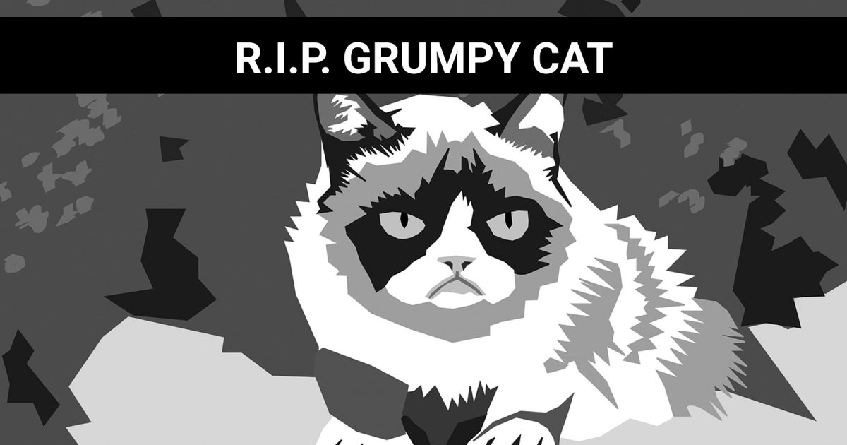 R.I.P. Grumpy Cat: Erinnerung an eine Internetlegende | Webfail - Fail ...