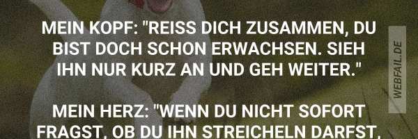 Ein durchgehendes Muster | Webfail - Fail Bilder und Fail Videos