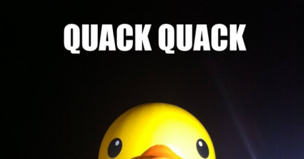Quack quack - Meme Picture | Webfail - Fail Pictures and Fail Videos