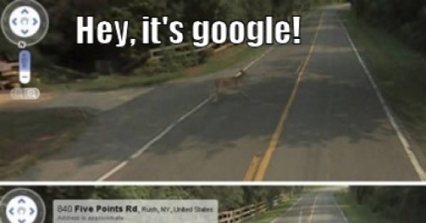 Hey, it's google! - Fail Picture | Webfail - Fail Pictures and Fail Videos