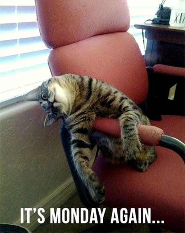 It's Monday again - Win Picture | Webfail - Fail Pictures and Fail Videos