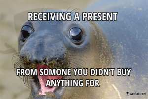 Push up bra - Meme Picture | Webfail - Fail Pictures and Fail Videos