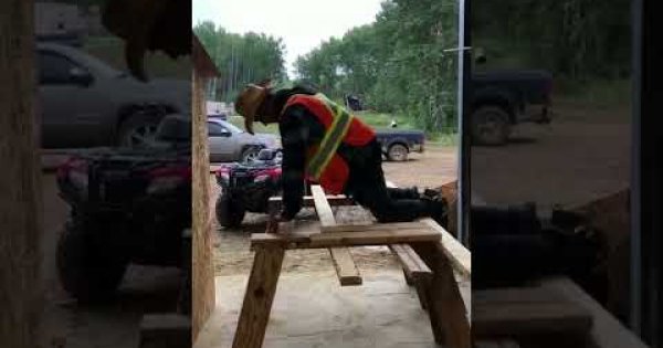 What You Shouldn't Do While Using A Saw | Webfail - Fail Pictures and ...