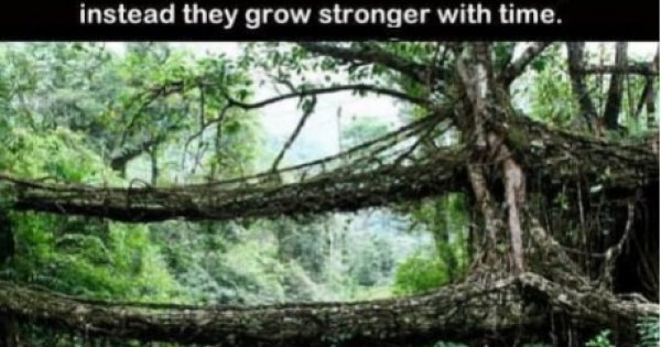 Awesome nature - Win Picture | Webfail - Fail Pictures and Fail Videos