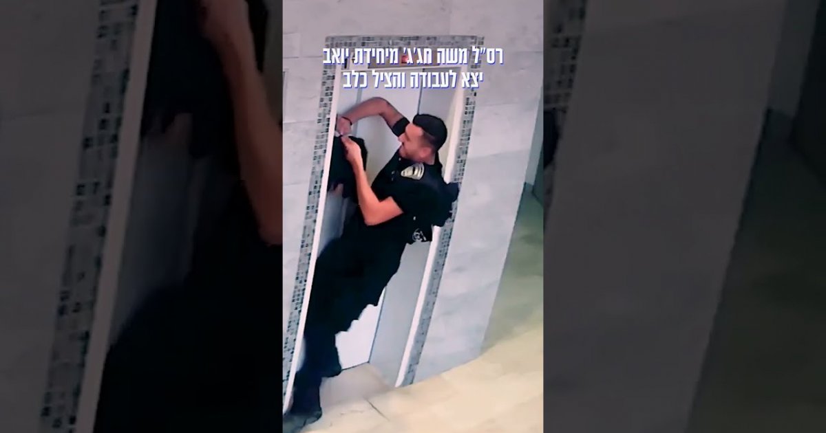 Police Officer Rescues Dog Whose Owner Is Inside The Elevator | Webfail ...