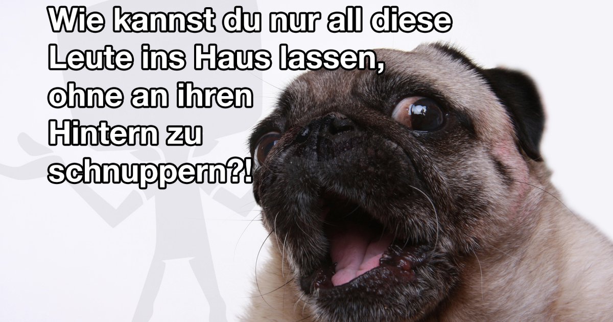 Komische Menschen - Fun Bild | Webfail - Fail Bilder und Fail Videos