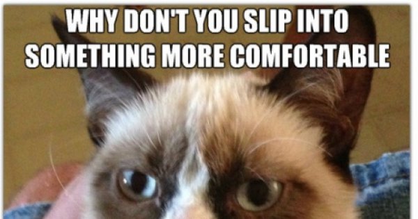 Grumpy Cat - Meme Picture | Webfail - Fail Pictures and Fail Videos