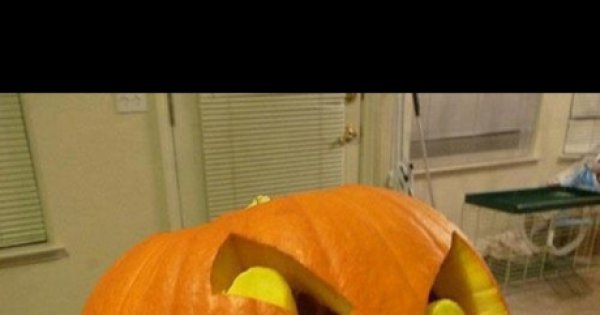 My favourite Pumpkin - Win Picture | Webfail - Fail Pictures and Fail ...