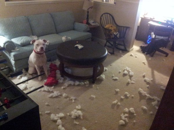 A dog cuddling a stuffed toy - Fail Picture | Webfail - Fail Pictures ...