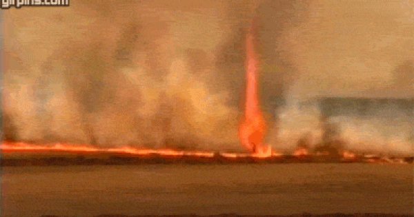 Flamenado - WTF Gif | Webfail - Fail Bilder und Fail Videos