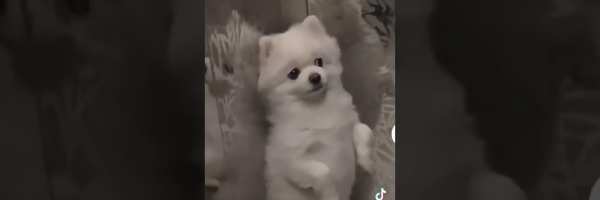 Knock knock - Meme Picture | Webfail - Fail Pictures and Fail Videos