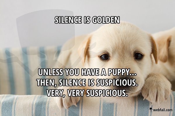 Silence is golden - Meme Picture | Webfail - Fail Pictures and Fail Videos