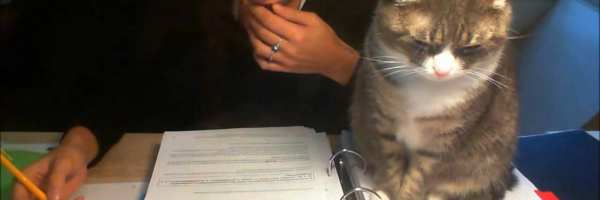 Push up bra - Meme Picture | Webfail - Fail Pictures and Fail Videos