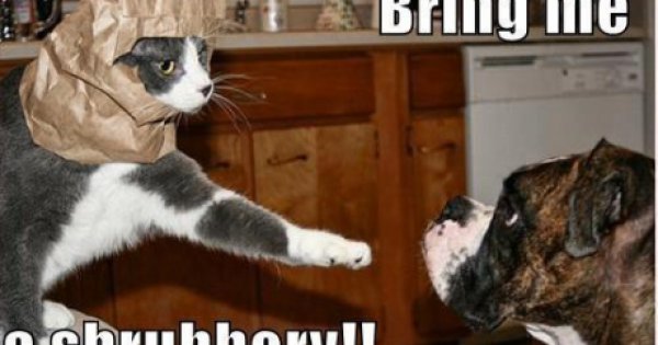 Bring me - Meme Picture | Webfail - Fail Pictures and Fail Videos