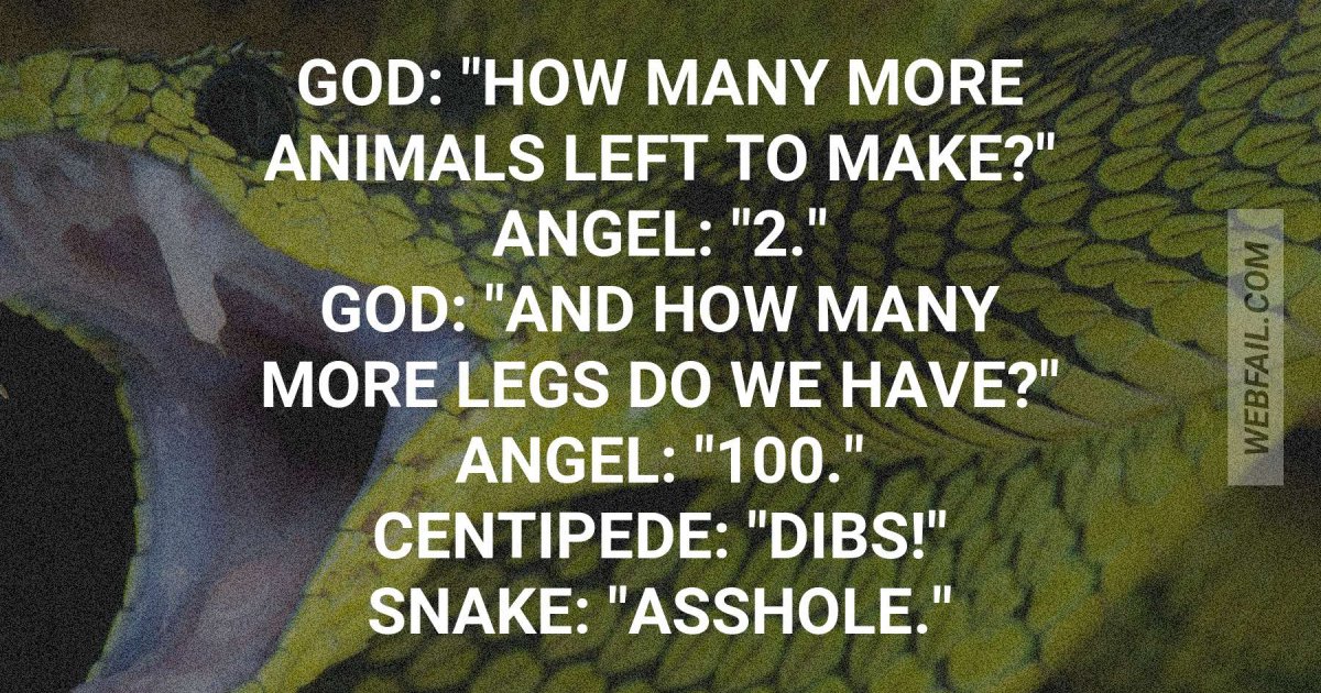 Poor snake | Webfail - Fail Pictures and Fail Videos