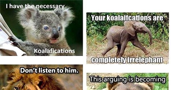 Animal Puns - Win Picture | Webfail - Fail Pictures and Fail Videos
