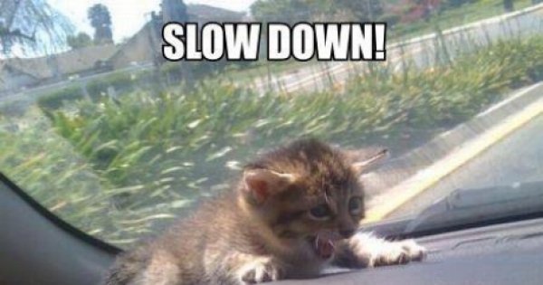 Slow down - Meme Picture | Webfail - Fail Pictures and Fail Videos