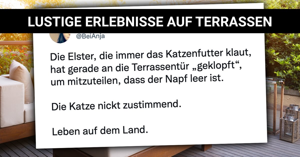 Entspannt lachen: Lustige Erlebnisse auf Terrassen | Webfail - Fail ...
