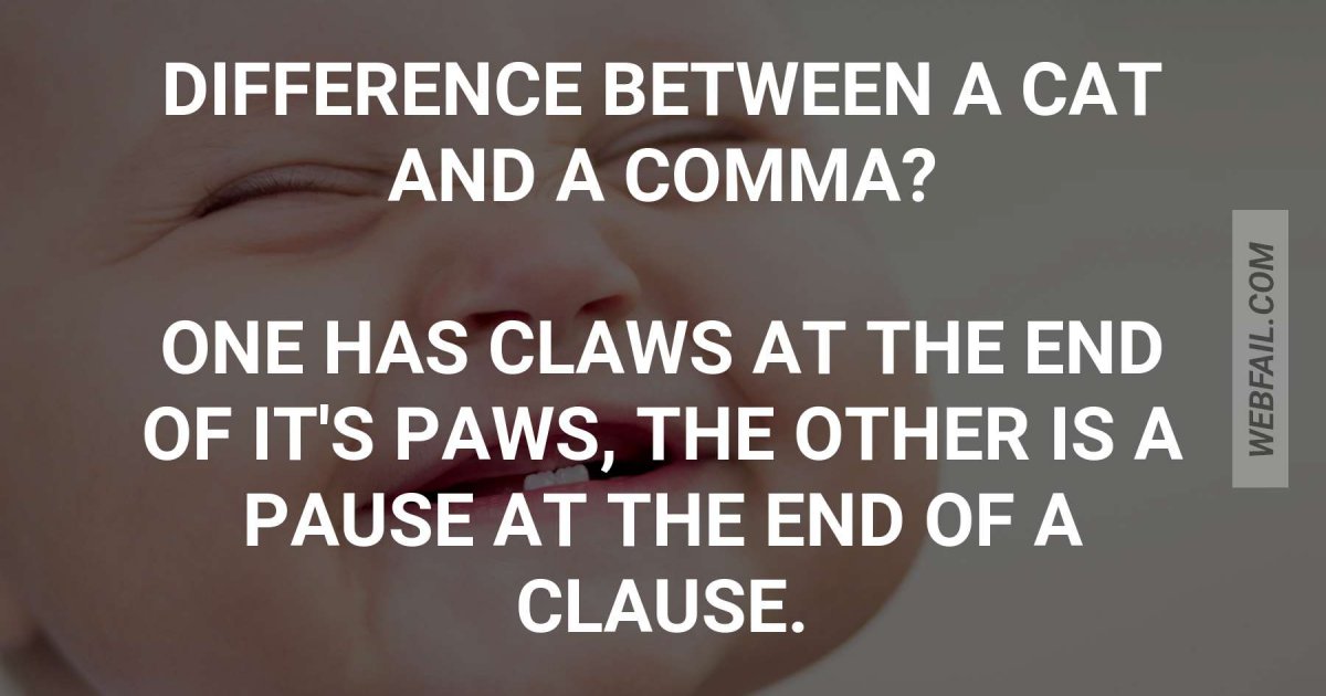 The difference between a cat and a comma | Webfail - Fail Pictures and ...