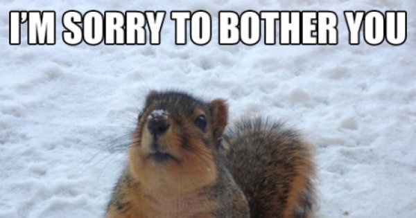 I'm sorry - Meme Picture | Webfail - Fail Pictures and Fail Videos