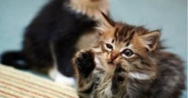 Awiens - Meme Picture | Webfail - Fail Pictures and Fail Videos