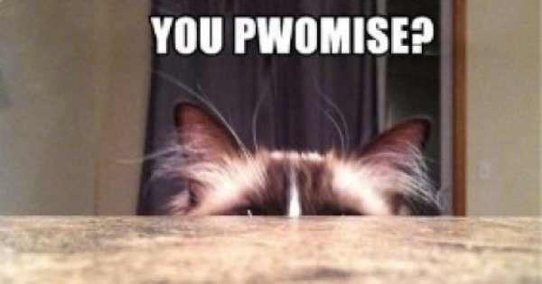 You promise? - Meme Picture | Webfail - Fail Pictures and Fail Videos