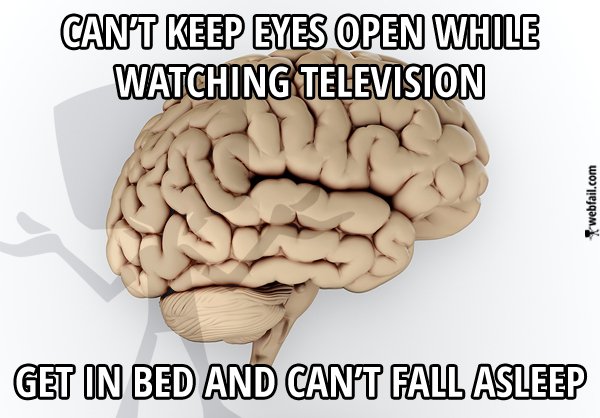Scumbag brain - Meme Picture | Webfail - Fail Pictures and Fail Videos