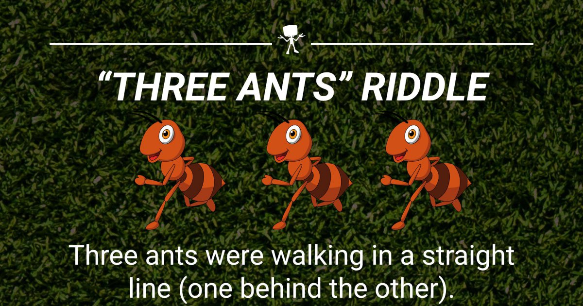 The Three Ants Riddle | Webfail - Fail Pictures and Fail Videos