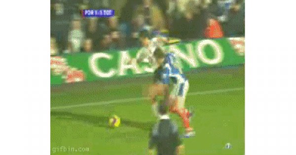 Die Schwalbe des Jahres - Fun Gif | Webfail - Fail Bilder und Fail Videos