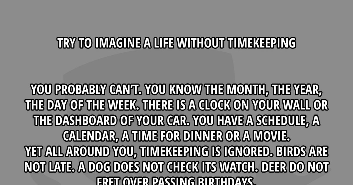 Running out of time - Meme Picture | Webfail - Fail Pictures and Fail ...