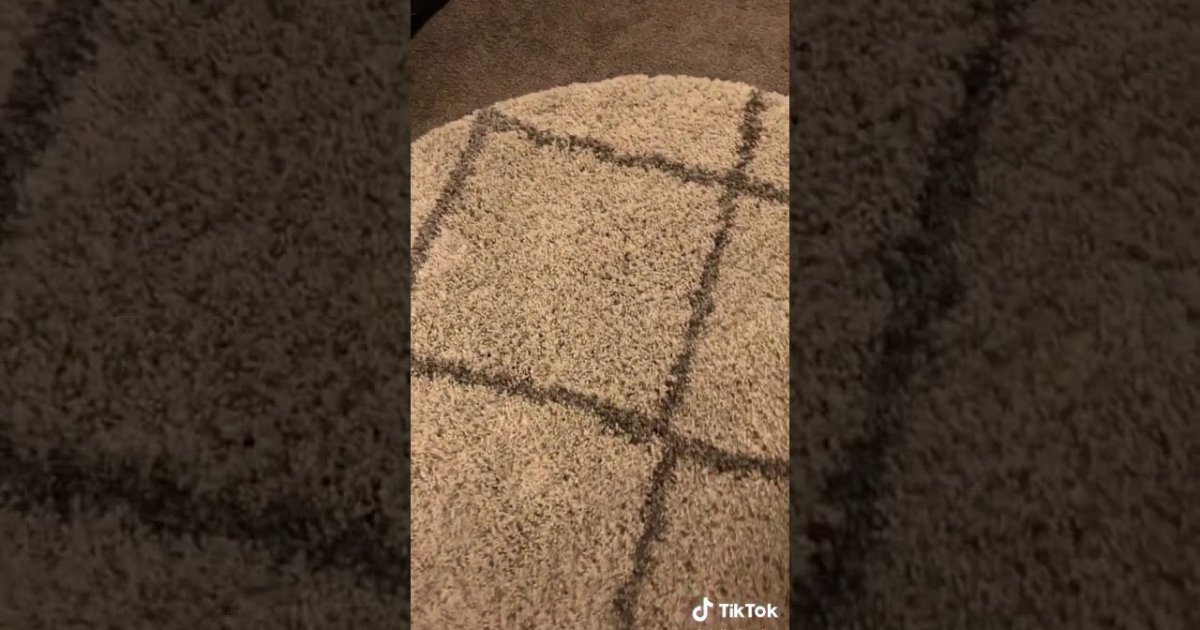 Woman Finds Bug In Her Rug | Webfail - Fail Pictures and Fail Videos